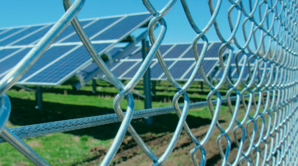 ¿Qué es un Access Point y como mejorar tu Red Empresarial?